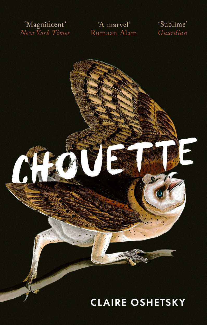 Chouette by Claire Oshetsky | Hachette UK